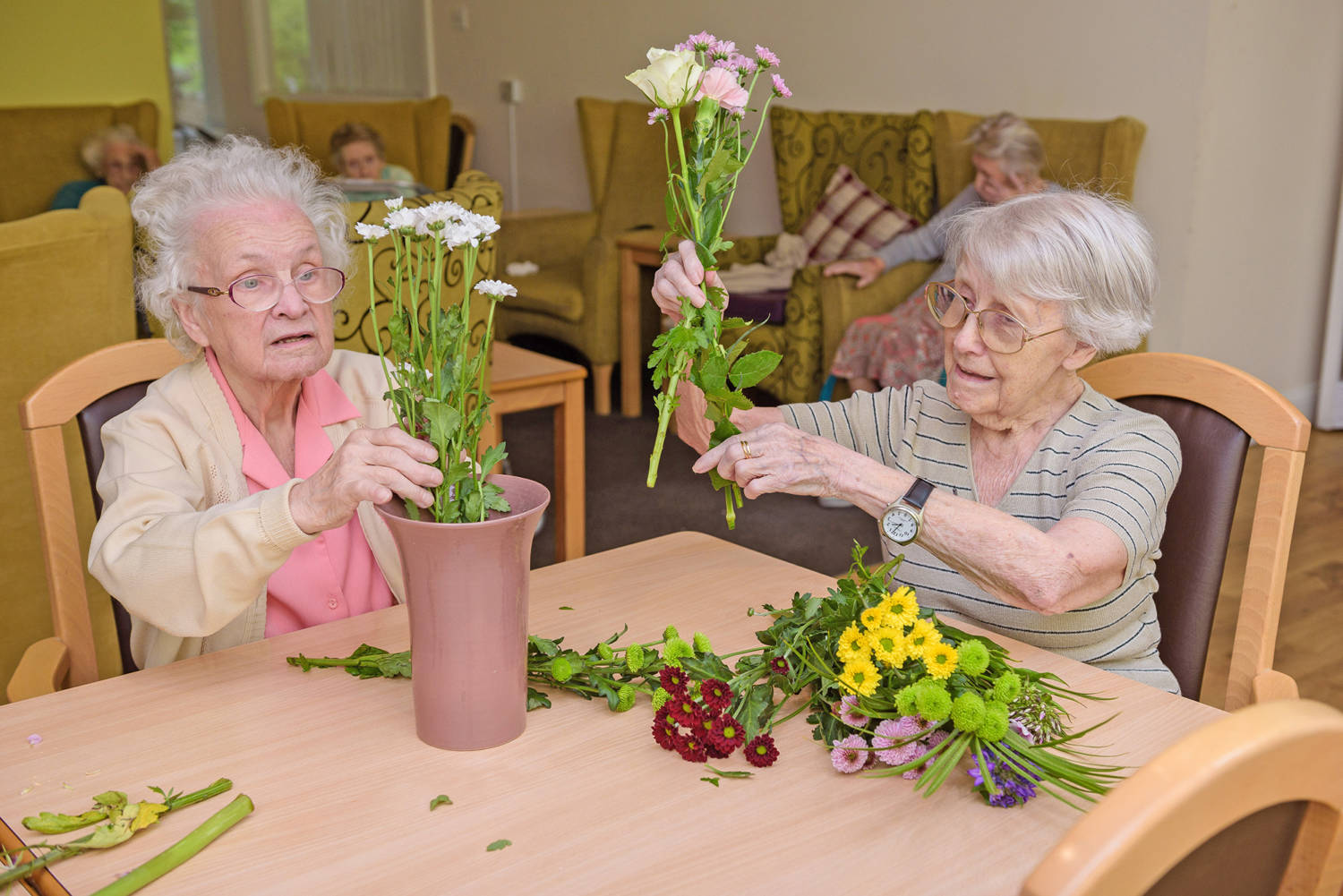 Gallery | Springfield Cottage Care Home